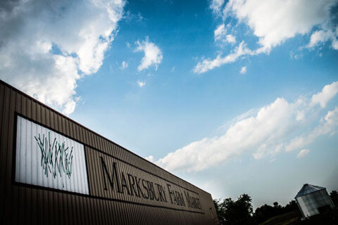 100% Grass Fed Beef - Marksbury Farm Market - Kentucky